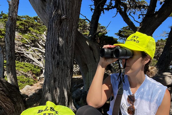 Cruel Summer Book Club | Jillian Anthony | Substack