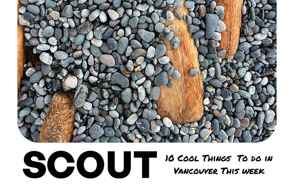 Scout Magazine | Michelle Sproule | Substack