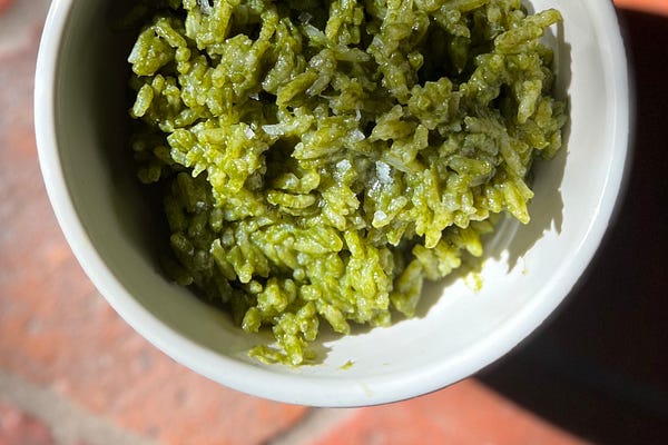 The Green Spoon | Substack