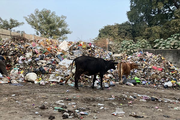 Numb at the Lodge | Sam Kriss | Substack