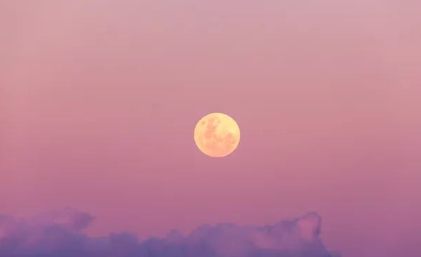 Sara's Fun Facts | Substack