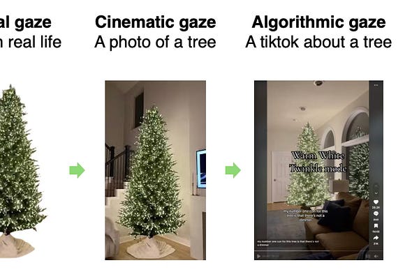 The Etymology Nerd | Adam Aleksic | Substack