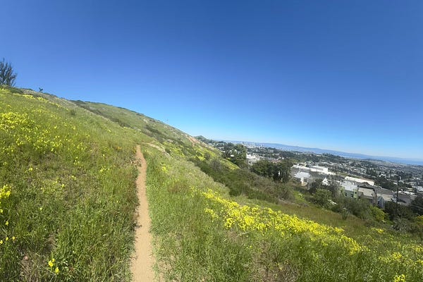 Through the Fog, by Elliot Kirschner | Substack