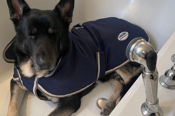 J.F. Riordan; Reflections on a Life in Exile | J. F. Riordan | Substack