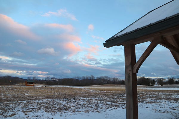 House of Green | Alexandra Fasulo | Substack