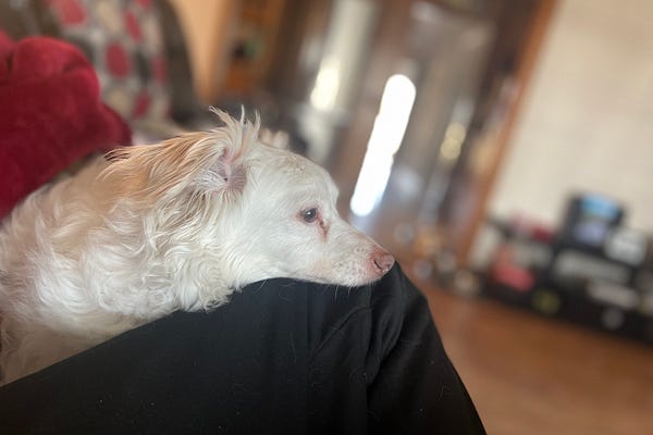 The Author Stack | Russell Nohelty | Substack