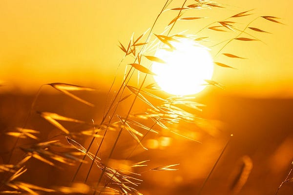 Roman’s Substack | Roman Newell | Substack