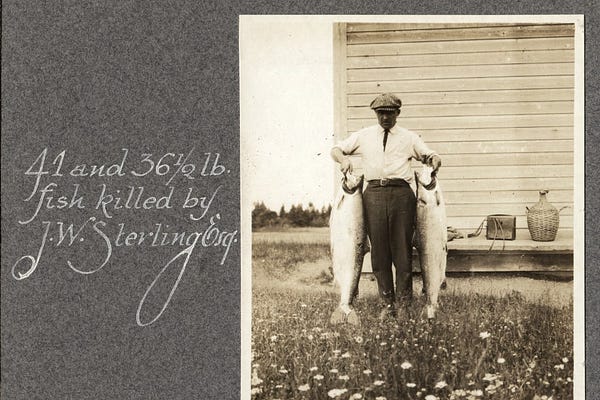 Compounding Quality | Substack