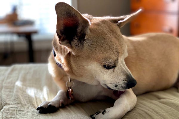 Catch & Release | Ben Wakeman | Substack