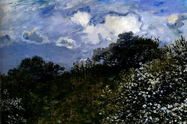 More Beautiful Than Necessary | Tresta Payne | Substack