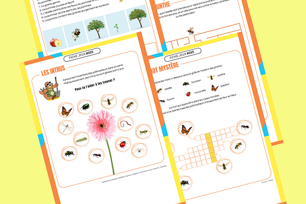 Génération Plancton | Substack