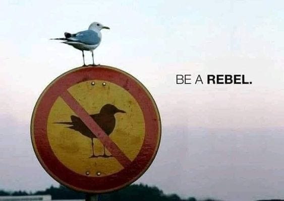 The Valuation Sschool Weekly | Substack