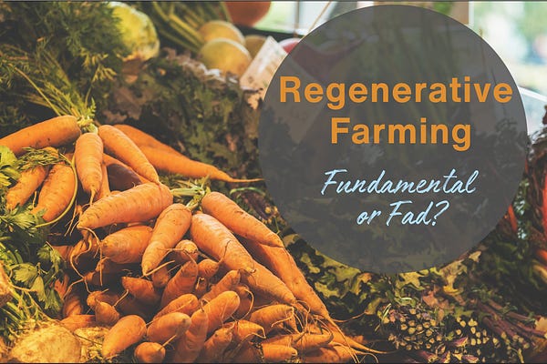 Shell’s Substack | Substack