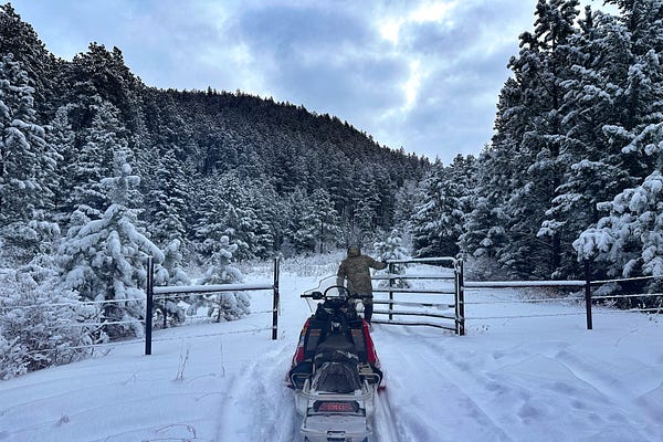 Field Chronicles | Rachelle Schrute | Substack