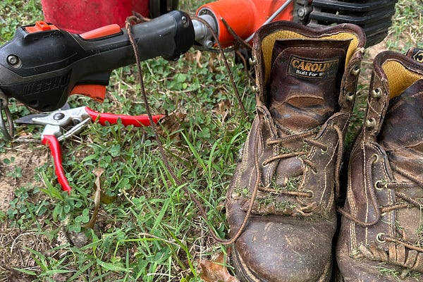 Susan Speaks | Susan Niemann | Substack