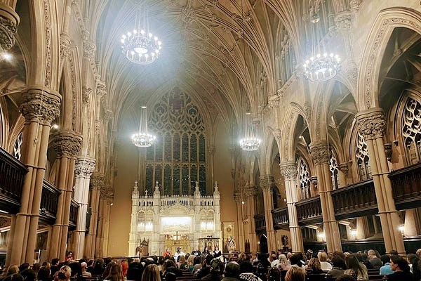 The Next Novel | Shayne Terry | Substack