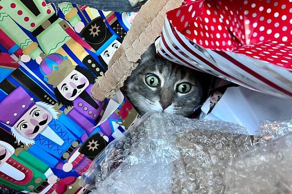 Hello. This Cat. | Substack