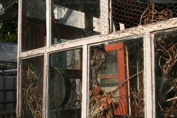 Alice Fox’s Substack | Substack