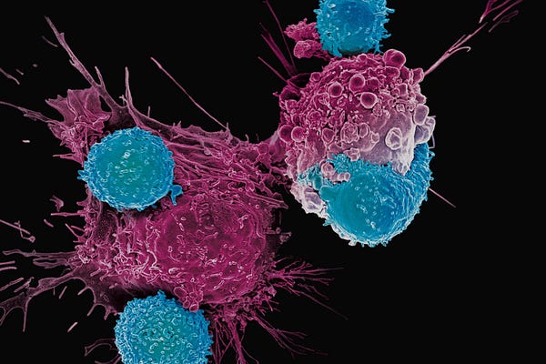 ImmunoLogic | Dr. Andrea Love | Substack