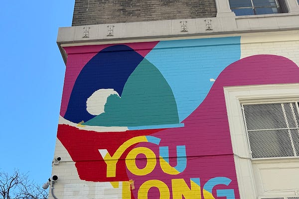 The Next Novel | Shayne Terry | Substack