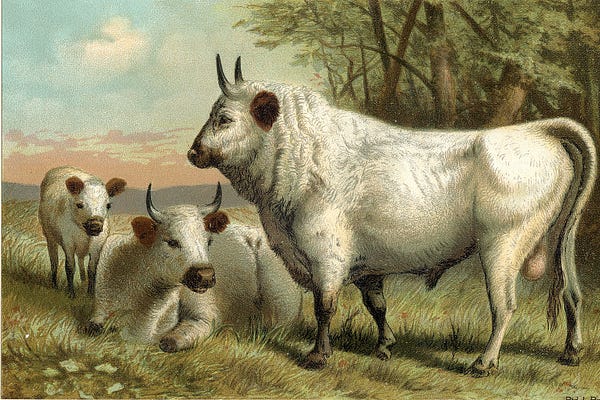 More Beautiful Than Necessary | Tresta Payne | Substack