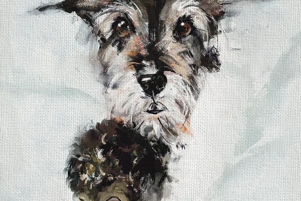 The Travelling Artist | Jo Scott | Substack