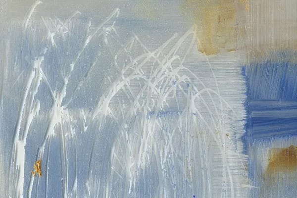 Carrie's Bench | Carrie Craig | Substack