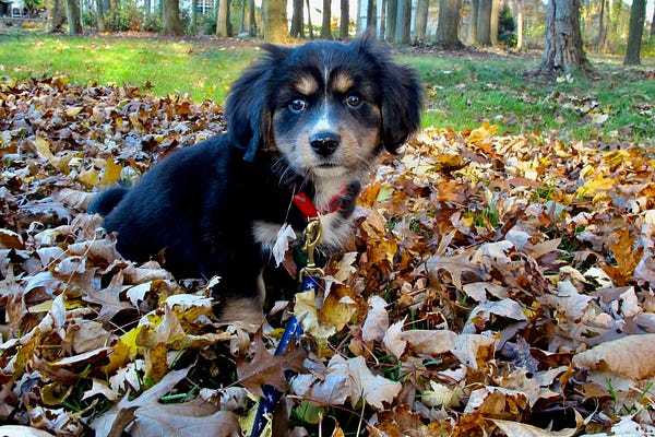 Hopefully Yours | Connie Schultz | Substack