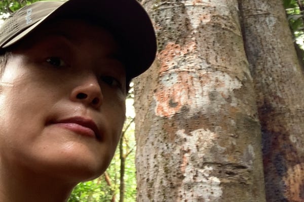 Denise Ho - 何韻詩 | Hocc | Substack