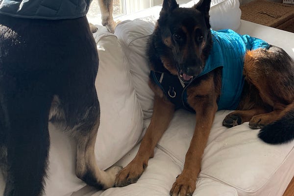 J.F. Riordan; Reflections on a Life in Exile | J. F. Riordan | Substack