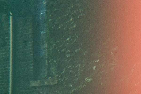 The Next Novel | Shayne Terry | Substack