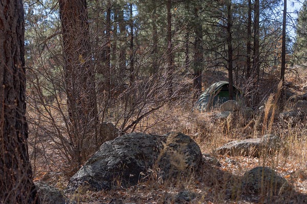 Boomtown | Minesh Bacrania | Substack