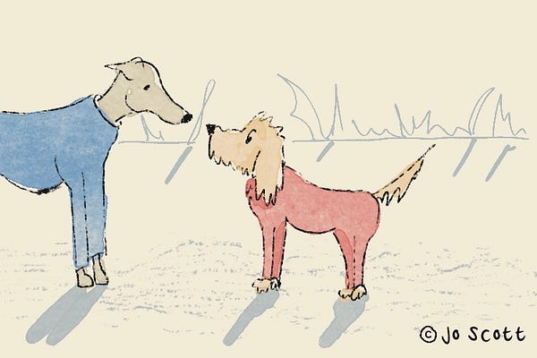 The Travelling Artist | Jo Scott | Substack