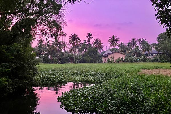 Numb at the Lodge | Sam Kriss | Substack