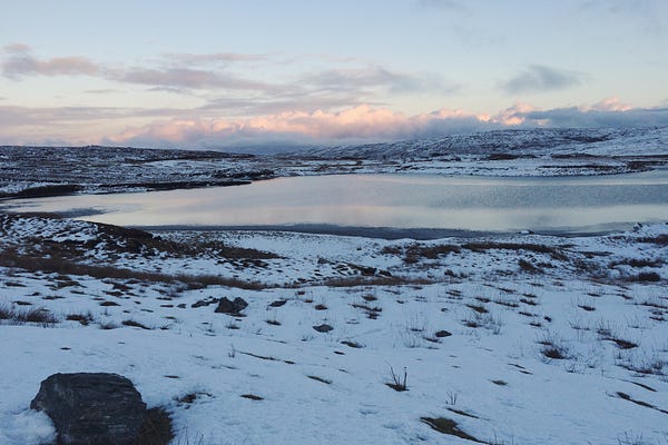 Haver & Sparrow | Charlene Storey | Substack