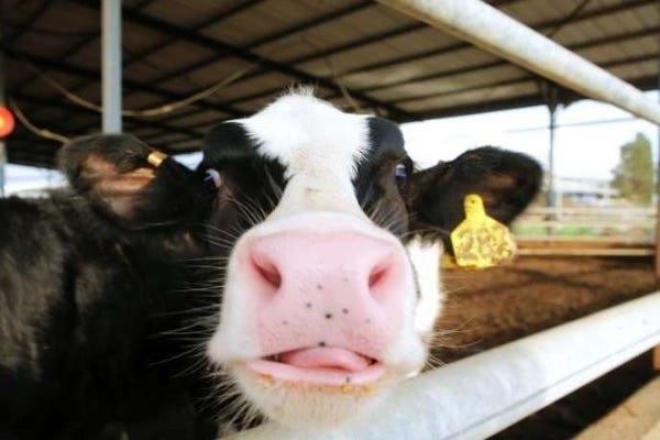 Climate Drift | Substack