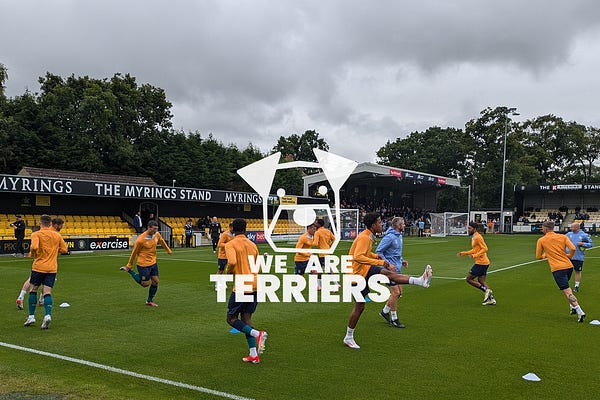 We Are Terriers | Steven Chicken | Substack