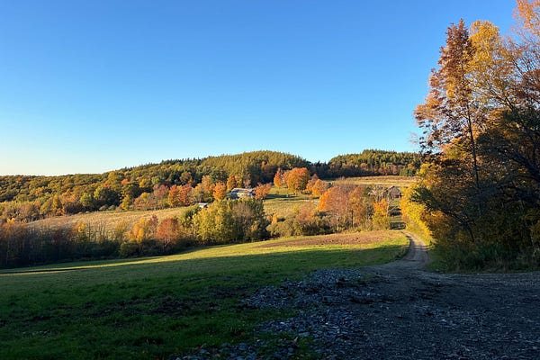 House of Green | Alexandra Fasulo | Substack