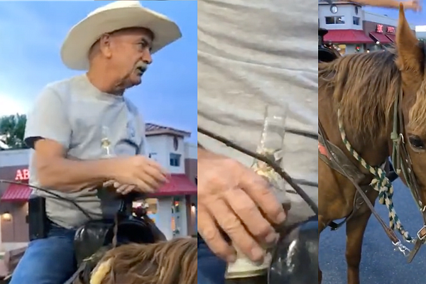 North Carolina Rabbit Hole | Jeremy Markovich | Substack