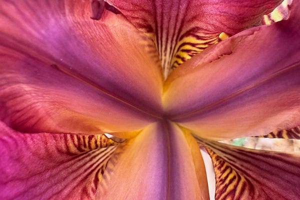 Kelsey Baldwin | Substack