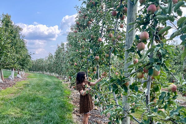 The Green Spoon | Substack