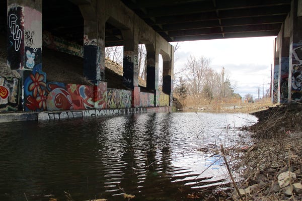 Unleash Lit | Substack