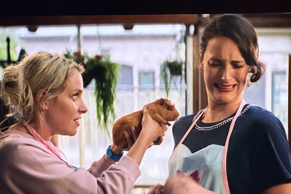 Closely Reading | haley larsen, phd | Substack