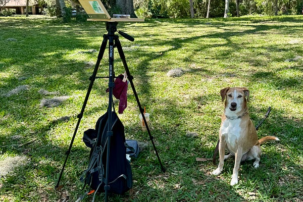 Behind the Easel | Megan Forde | Substack