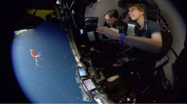 CODAME ART+TECH | Substack