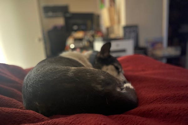 The Author Stack | Russell Nohelty | Substack