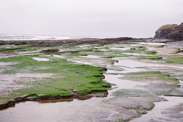 Th(ink)ing Out Loud | Storm Jasmine | Substack