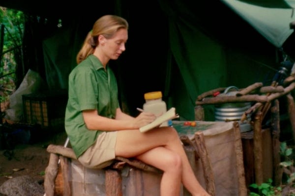 Noted | Jillian Hess | Substack