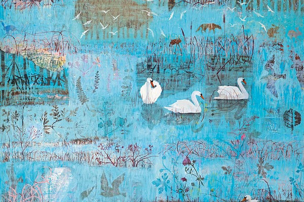 The Quiet Life with Susan Cain | Substack