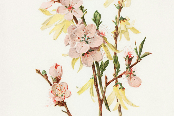 postcards by elle | Substack